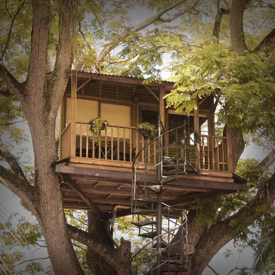 Casa en Árbol | Dosis Verde