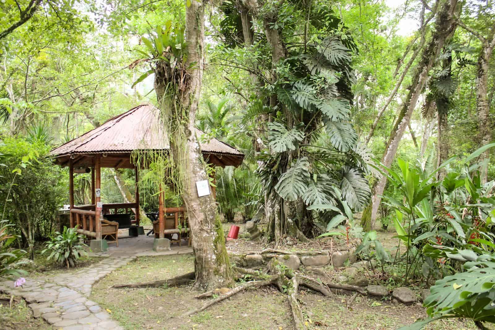 Tobia al límite | Dosis Verde